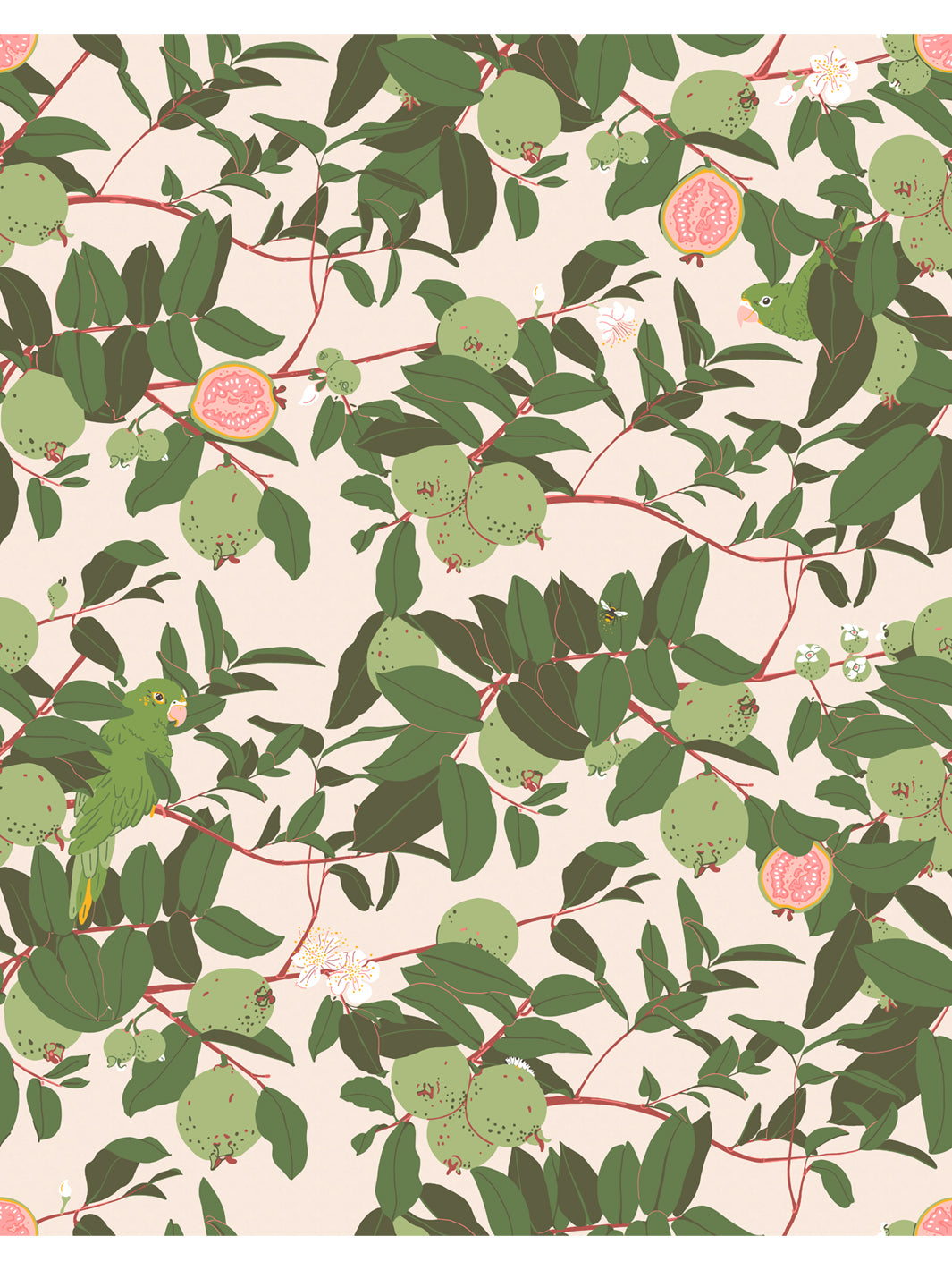 Guayaba Wallpaper – Moye Design